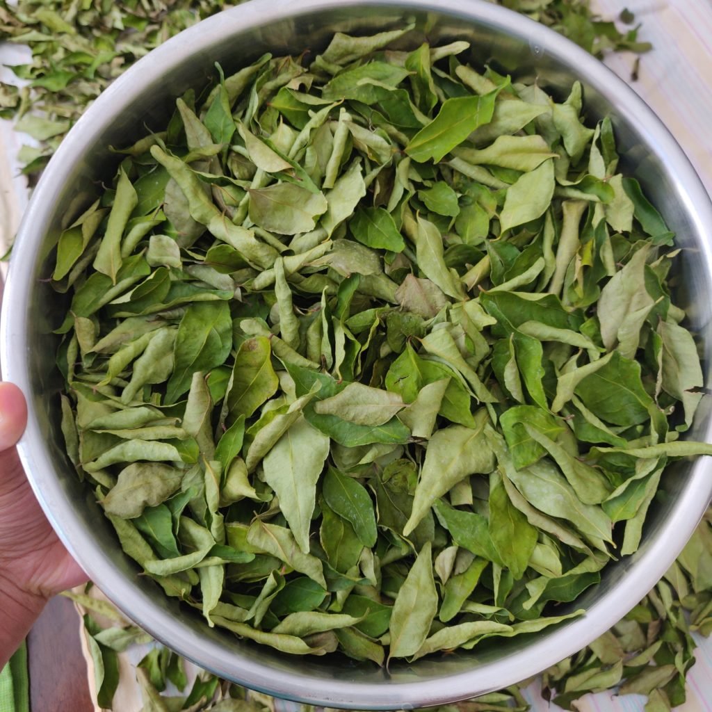 How to dry and store curry leaves for more than 3 to 4 months – Subbu Cooks