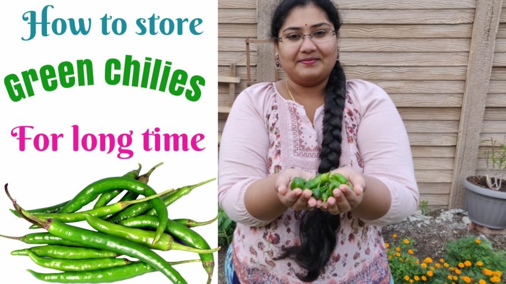 How to store Green chilies for longer time-100 % Works with results ...